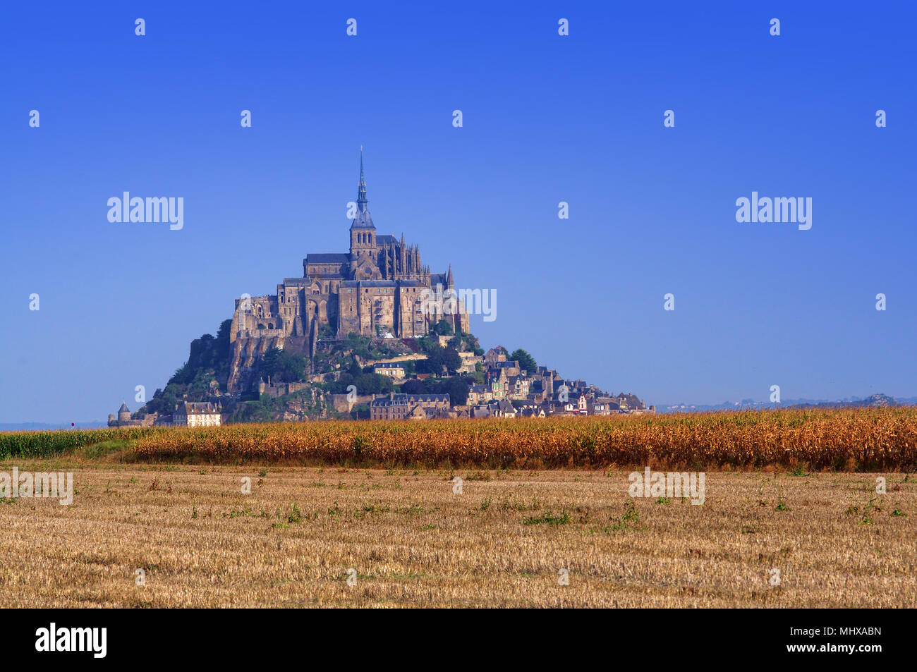 the famous Saint Michel castle on the mountain. France Stock Photo - Alamy