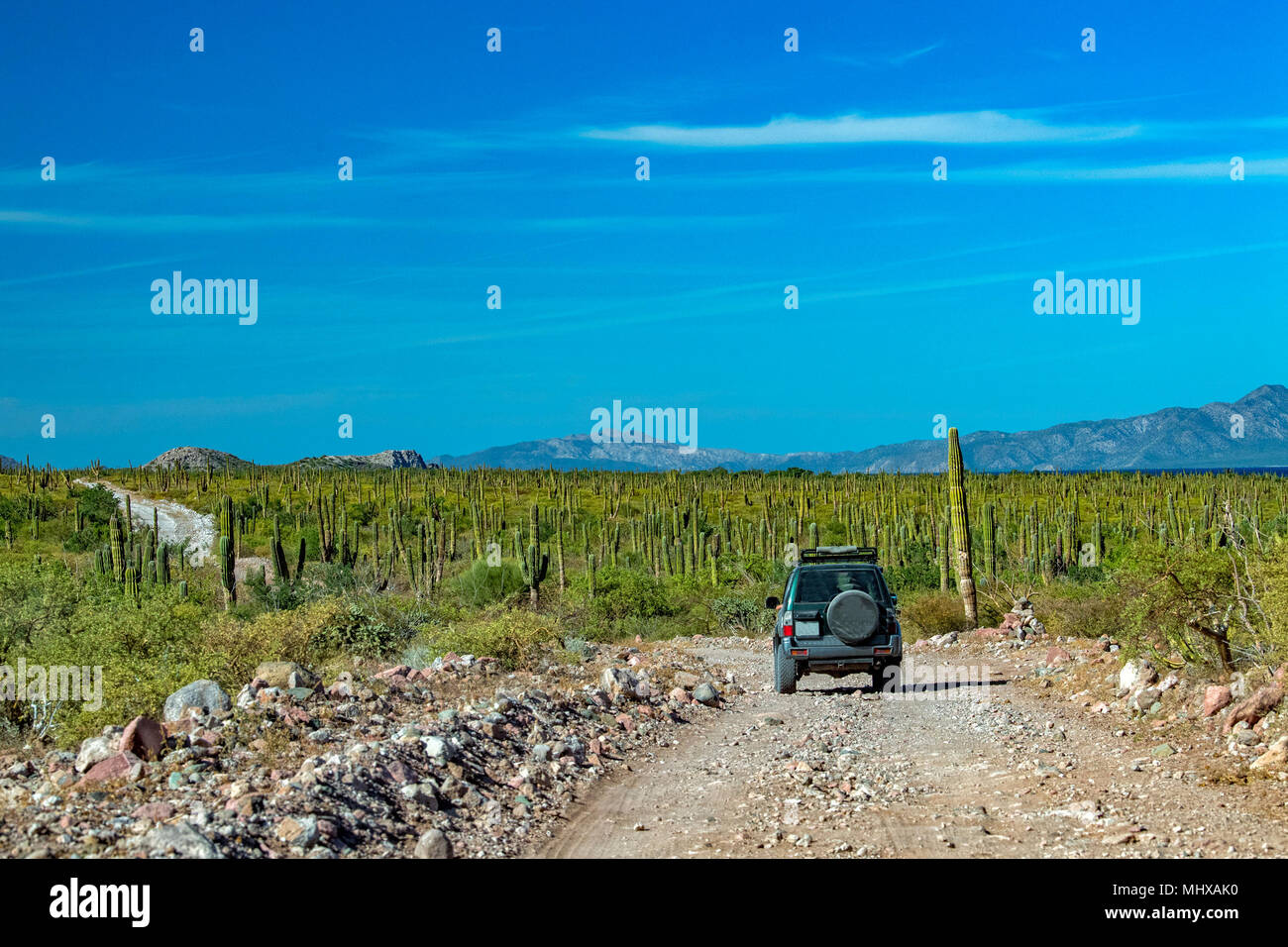 driving in Mexico baja california desert endless road Stock Photo - Alamy