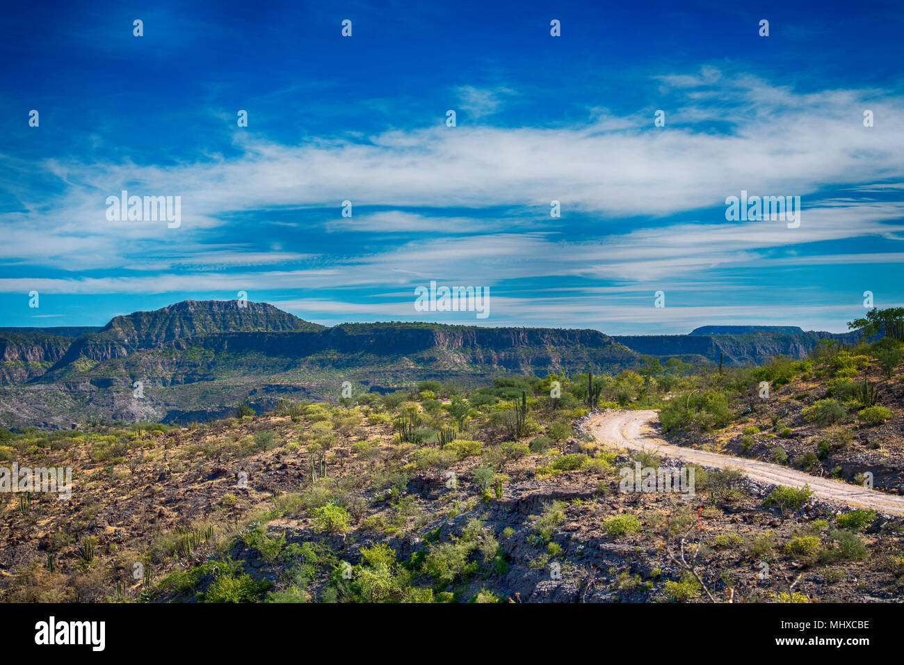 Beautiful Mexico Landscape