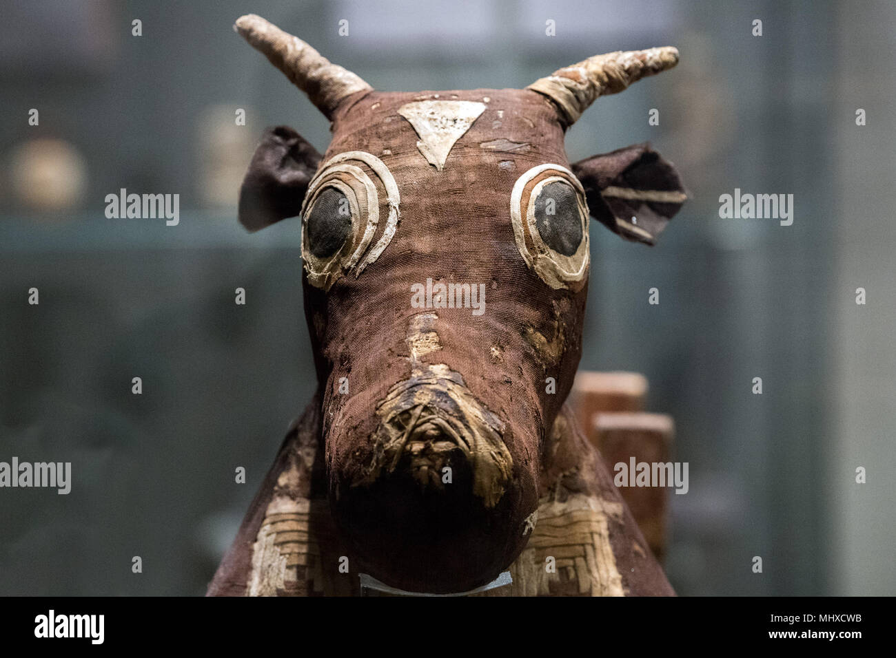 Egyptian art cow hi-res stock photography and images - Alamy
