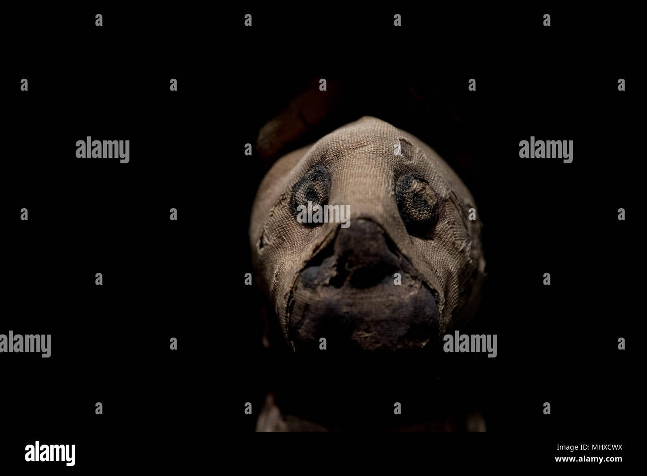 Egyptian cat artifact hi-res stock photography and images - Alamy