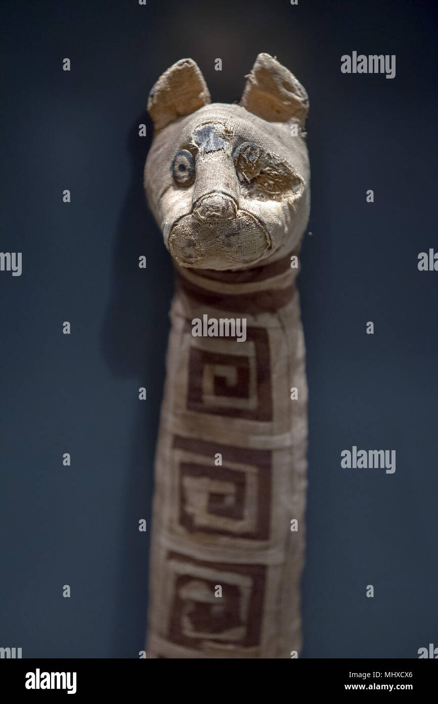 Cat mummy hi-res stock photography and images - Alamy