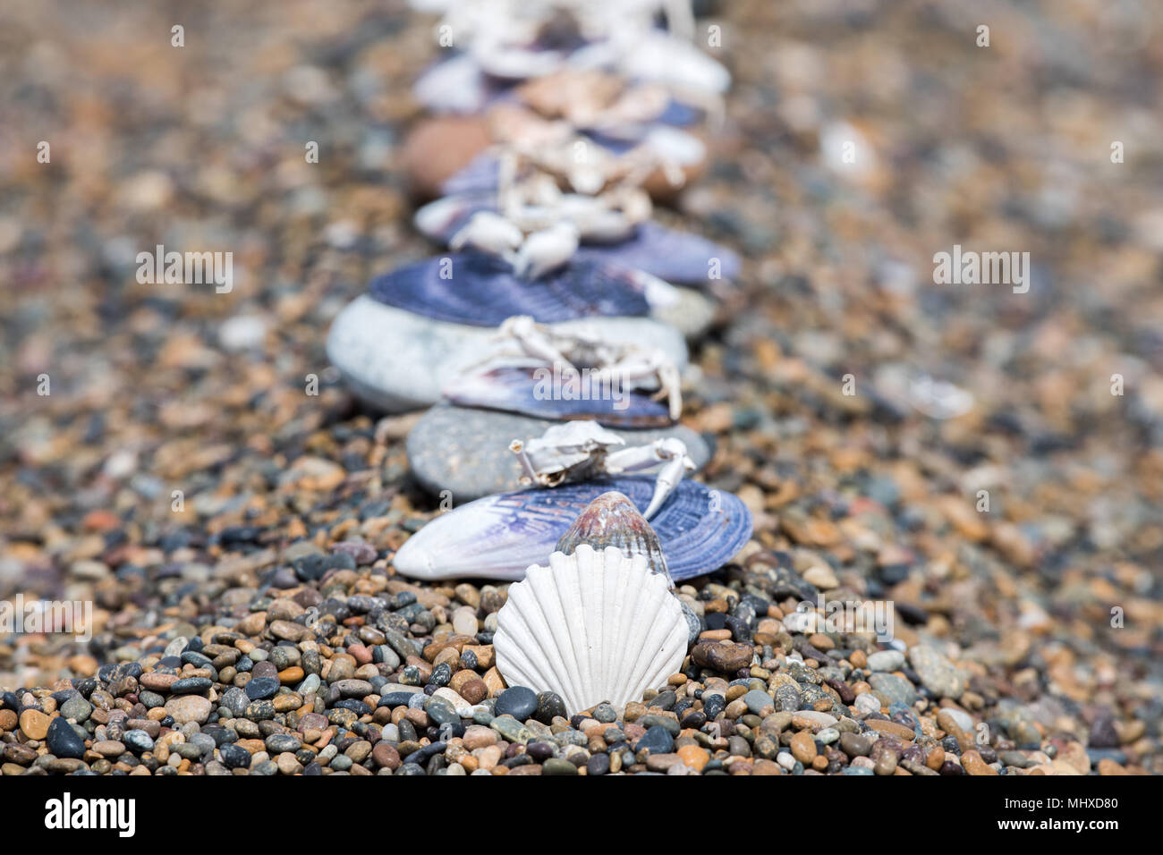 Coral white sands hi-res stock photography and images - Alamy