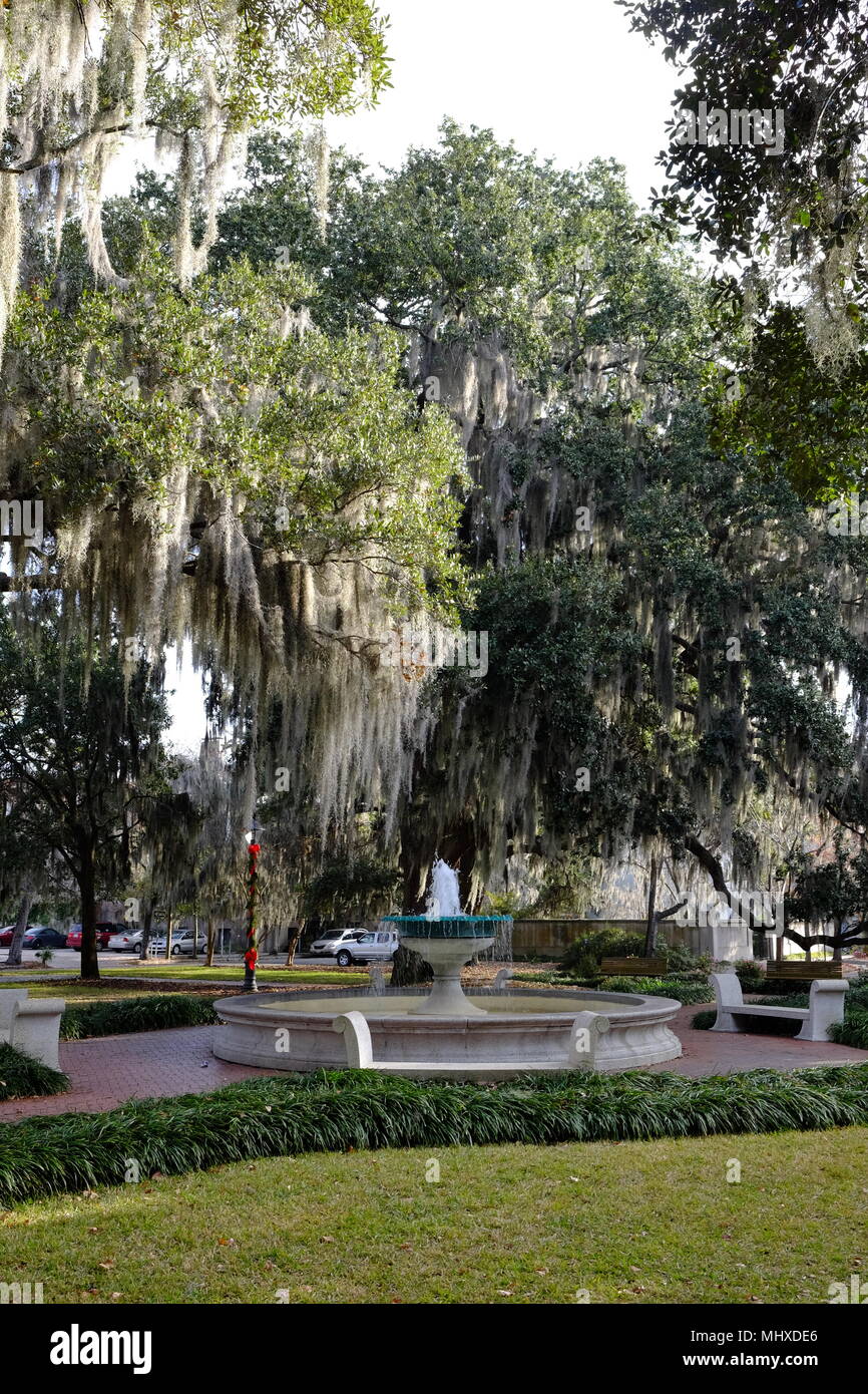 Savannah Squares High Resolution Stock Photography and Images - Alamy