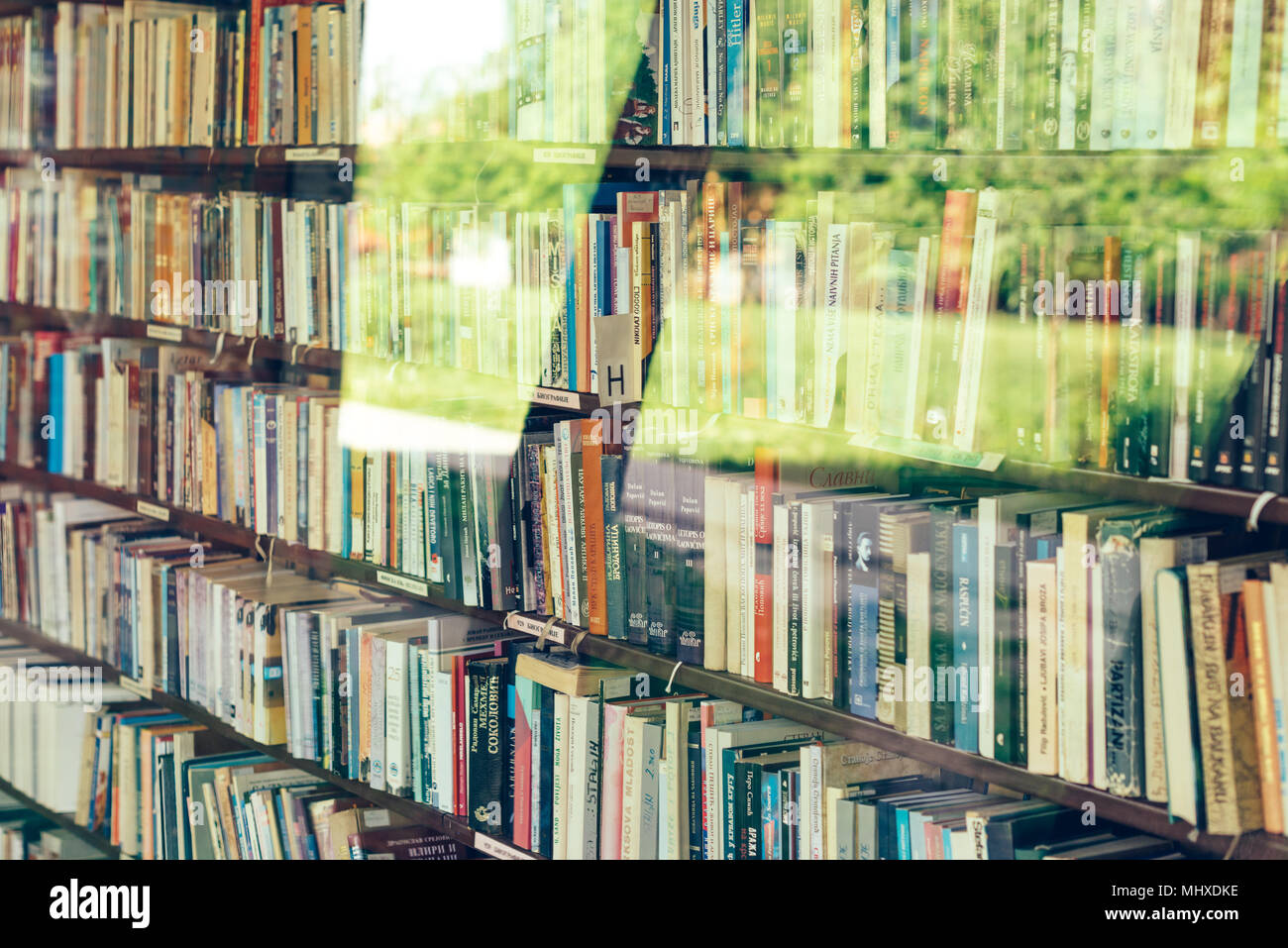 Small library hi-res stock photography and images - Alamy