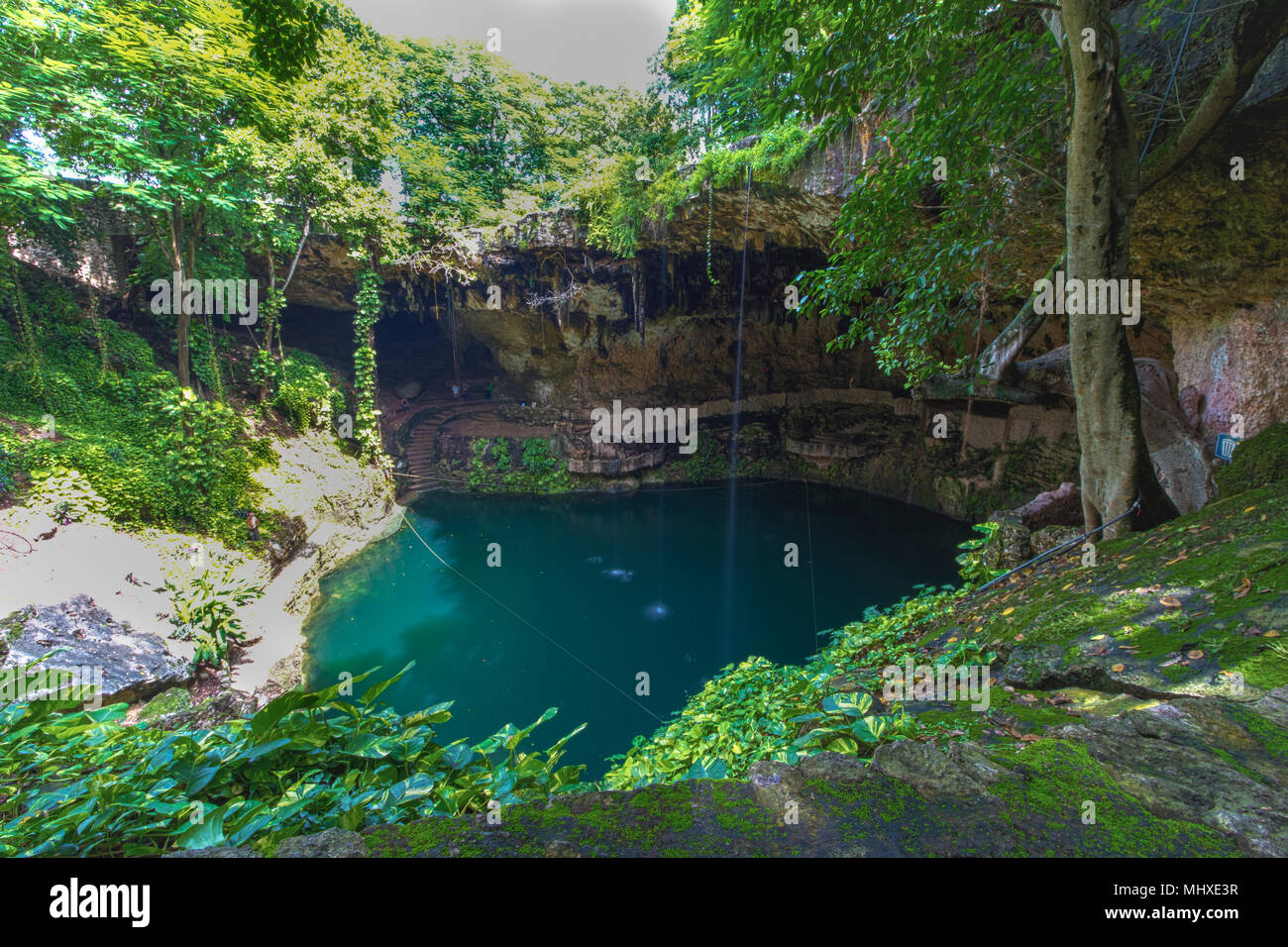 Cenote is a natural sinkhole, resulting from the collapse of limestone ...