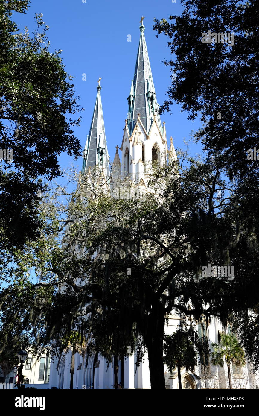 Savannah squares hi-res stock photography and images - Alamy