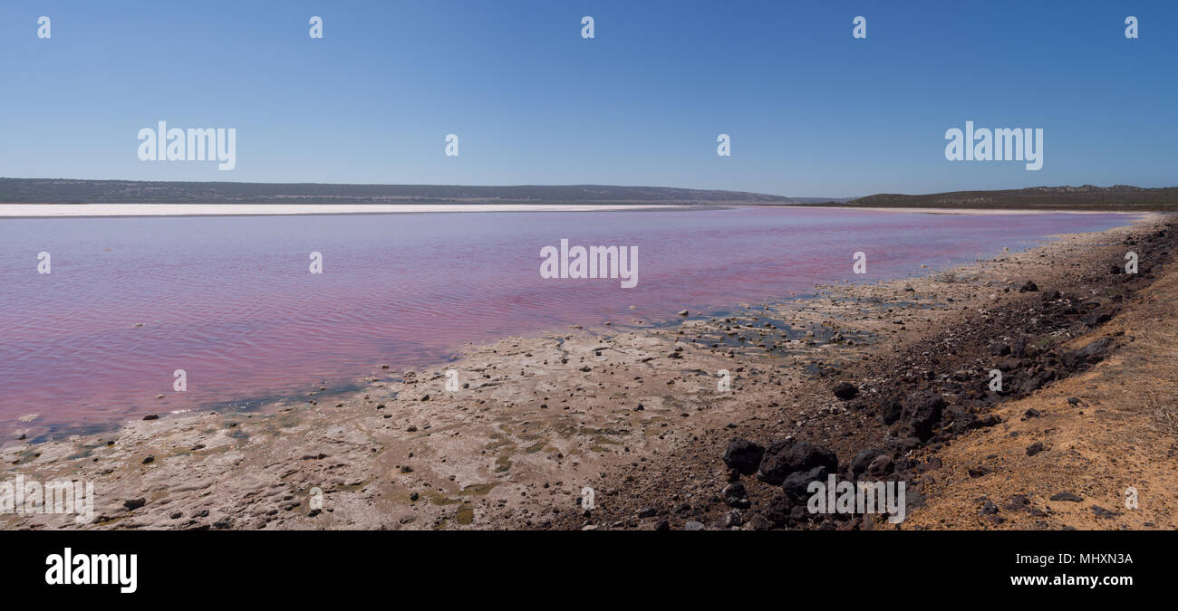 Panoramic view of the Pink Lake (Hutt Lagoon), Port Gregory, Western ...