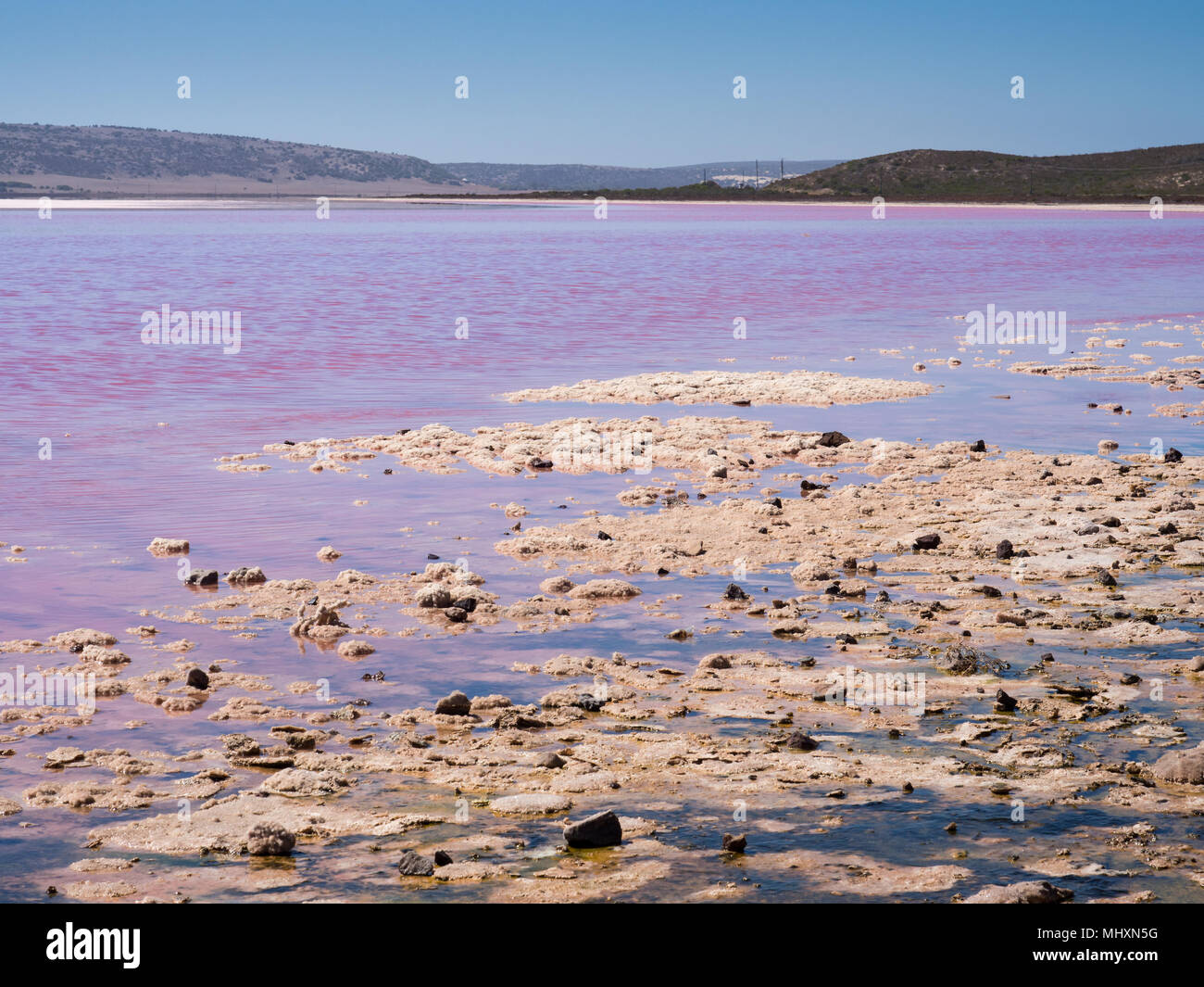 Pink Lake (Hutt Lagoon), Port Gregory, Western Australia Stock Photo ...