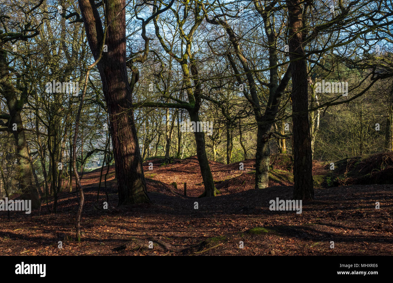 Aldereley hi-res stock photography and images - Alamy