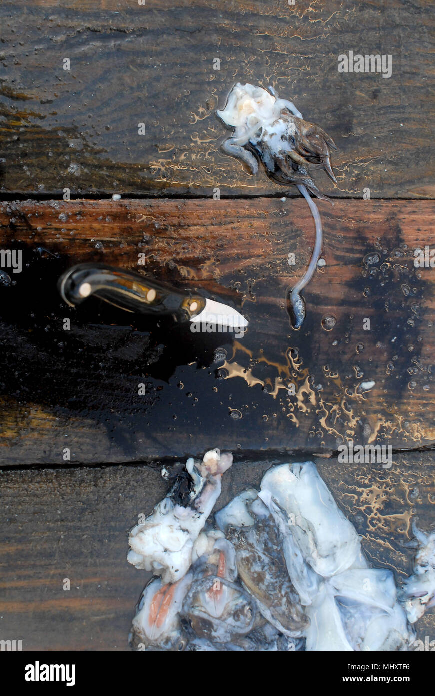 Fishing vessel italy hi-res stock photography and images - Alamy