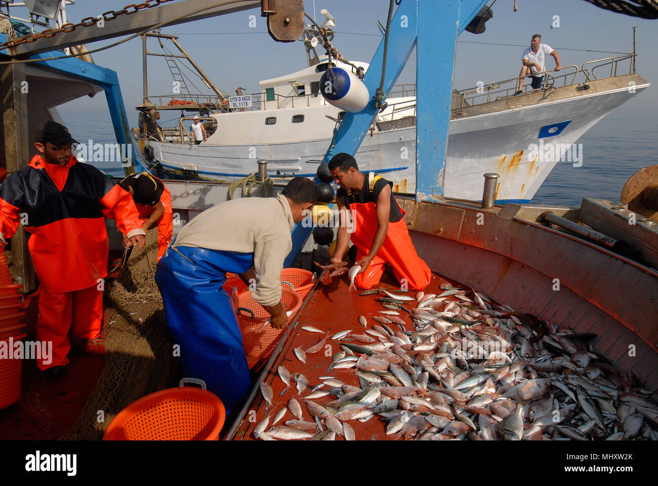 Fishing industry fish hi-res stock photography and images - Alamy