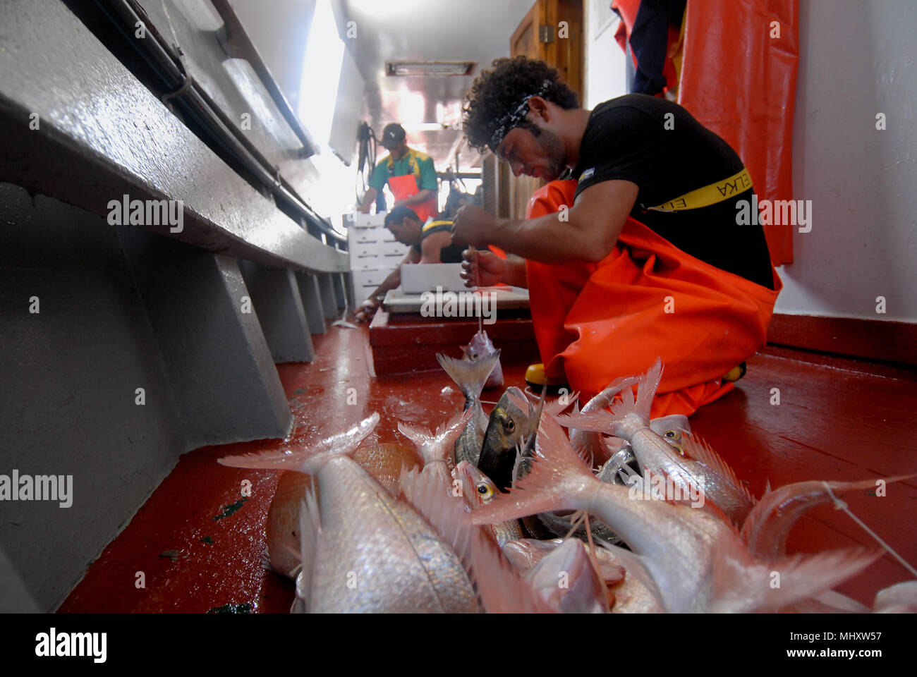 Boat expedition interior hi-res stock photography and images - Alamy