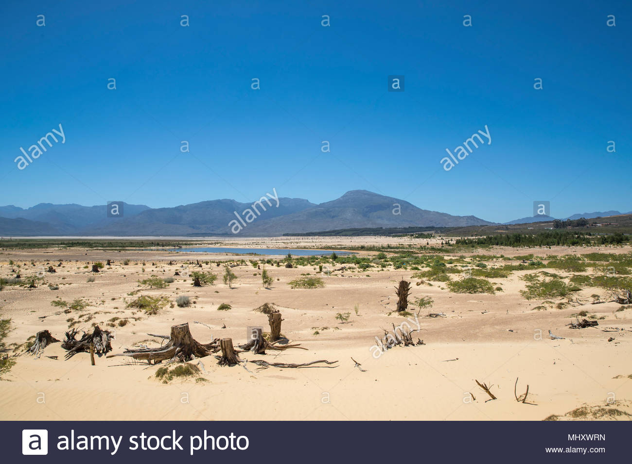 Cape Town Drought Stock Photos & Cape Town Drought Stock Images - Alamy