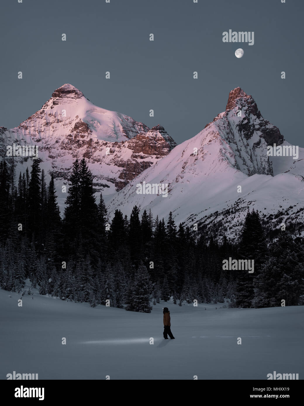 Jasper national park night sky hi-res stock photography and images - Alamy