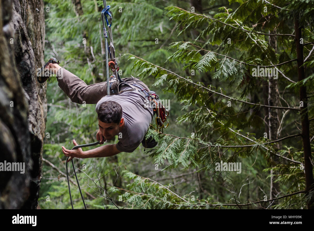 Canada forest traditional hi-res stock photography and images - Alamy