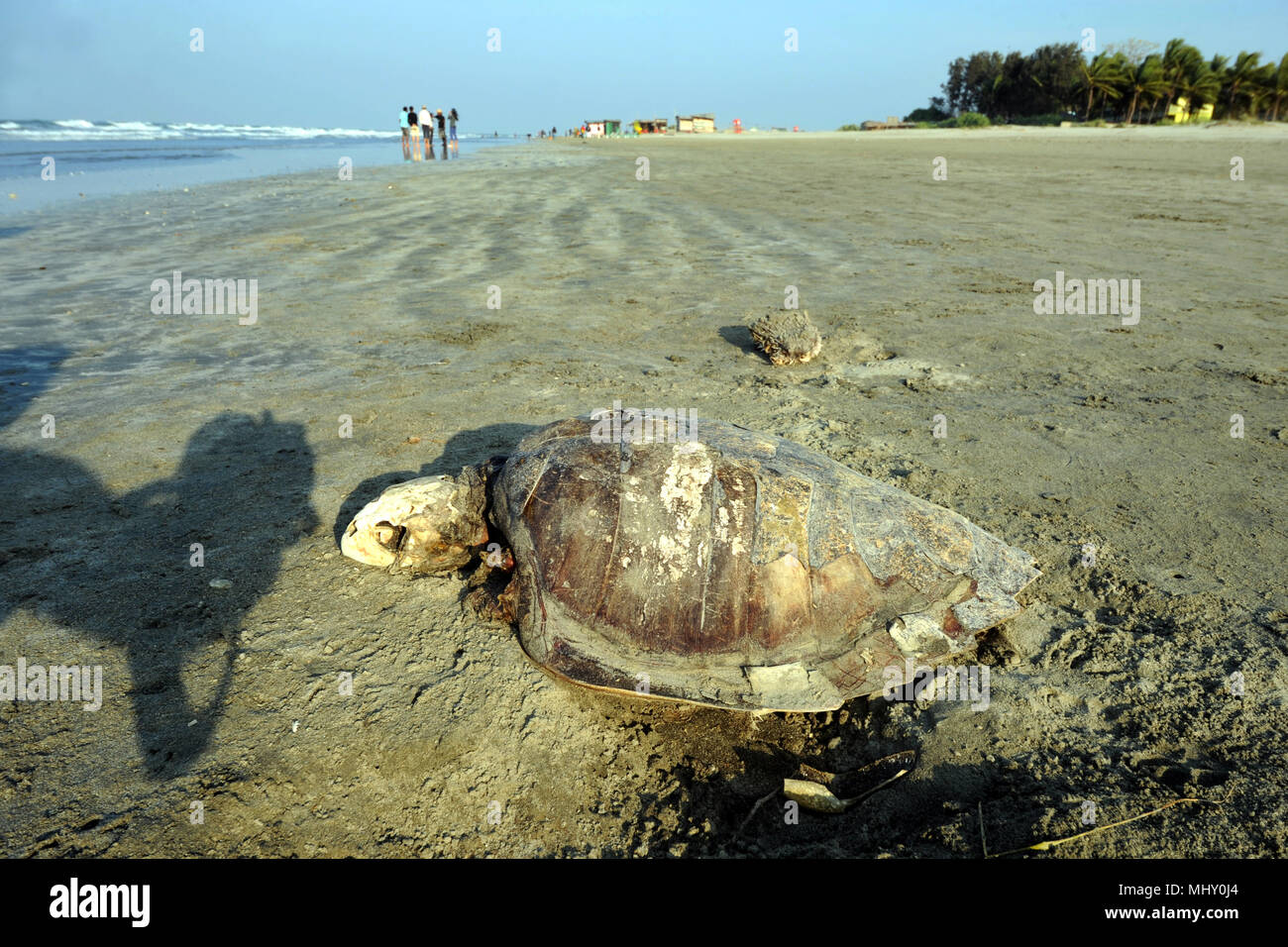 Saint Martin Island High Resolution Stock Photography and Images - Alamy