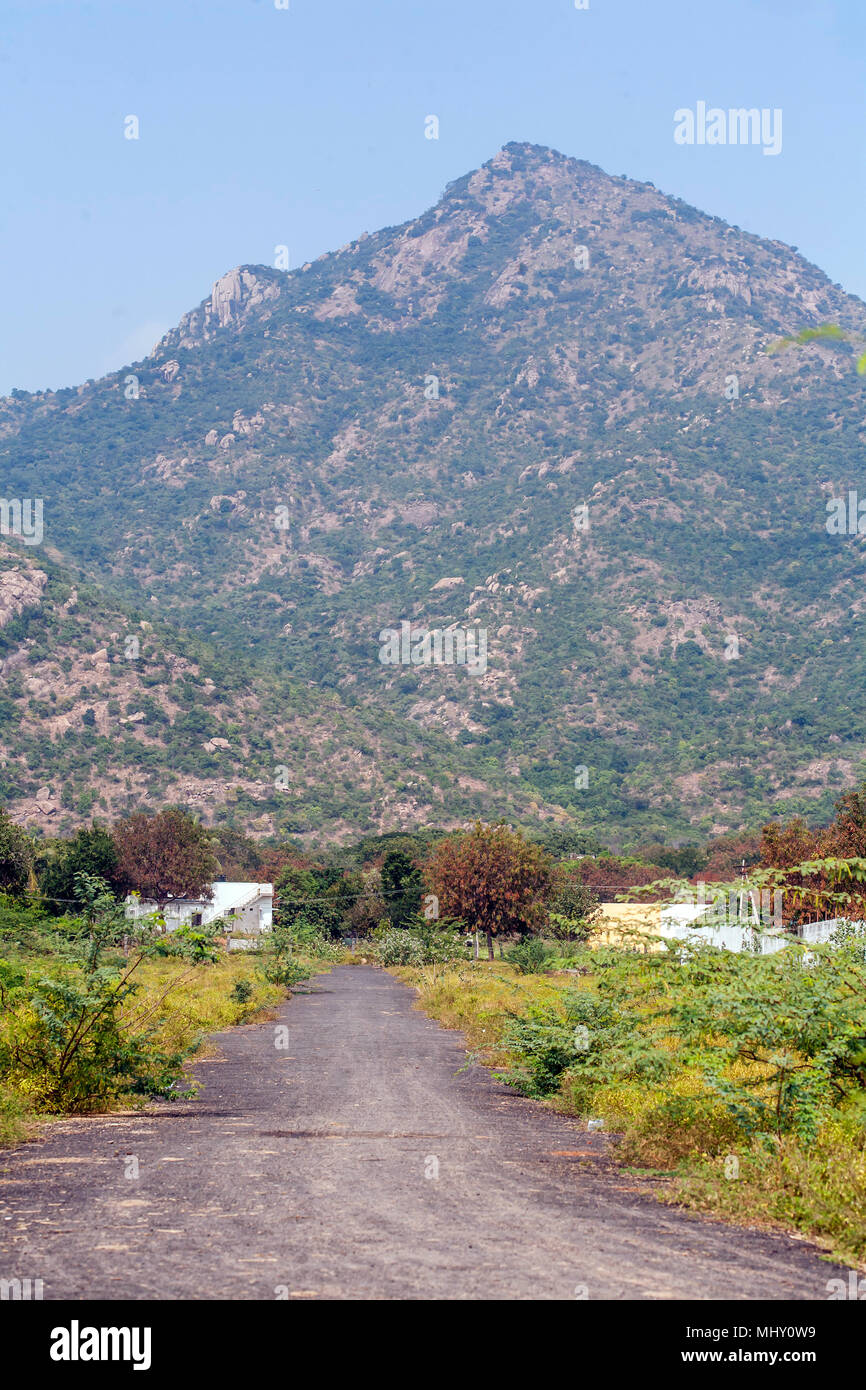 Arunachala mountain, Tiruvannamalai / Tamil Nadu / India Stock Photo ...