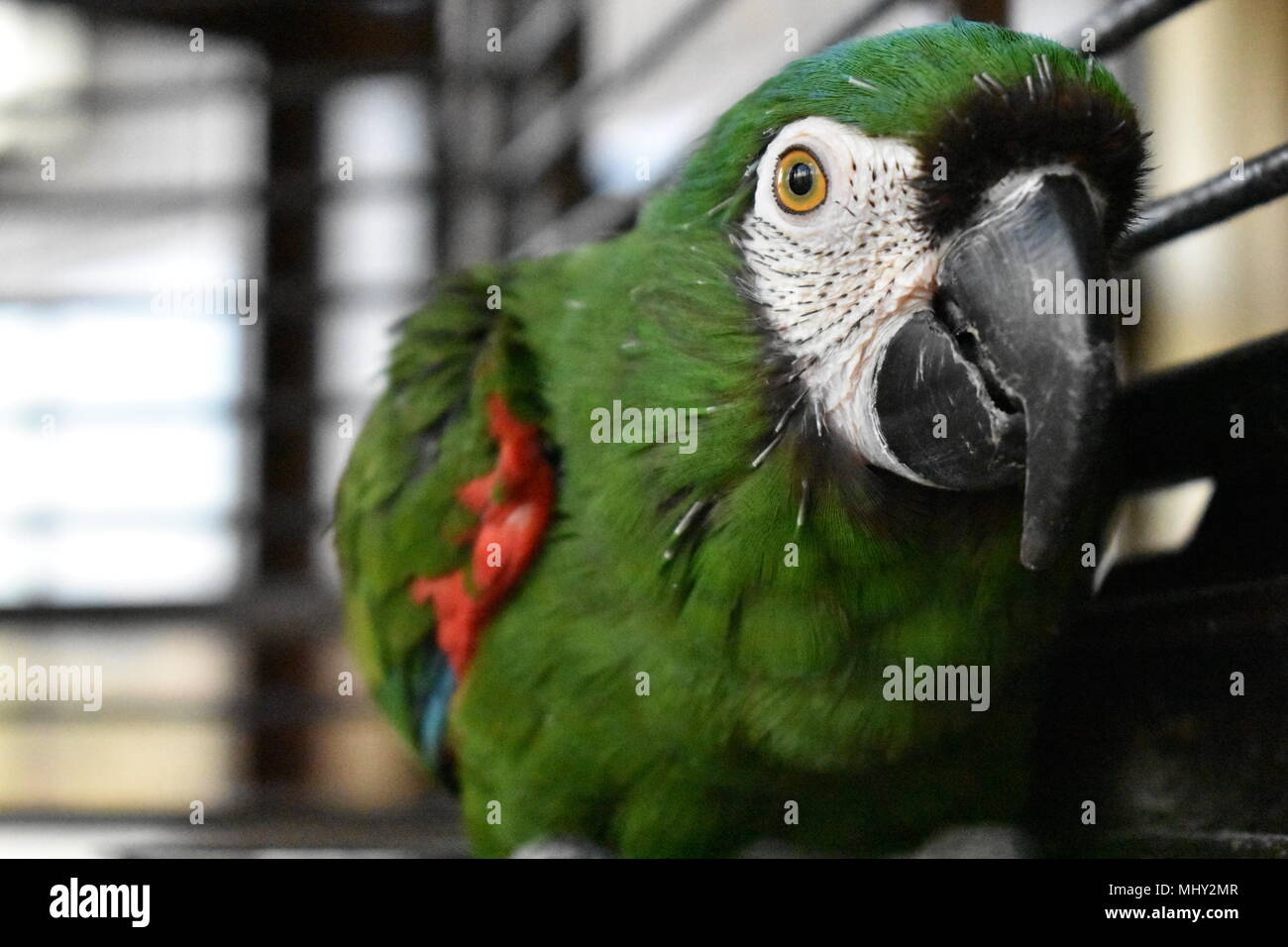 Deep look hi-res stock photography and images - Alamy