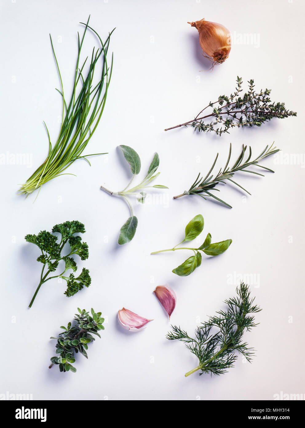 Herbs vegetables pattern hi-res stock photography and images - Alamy