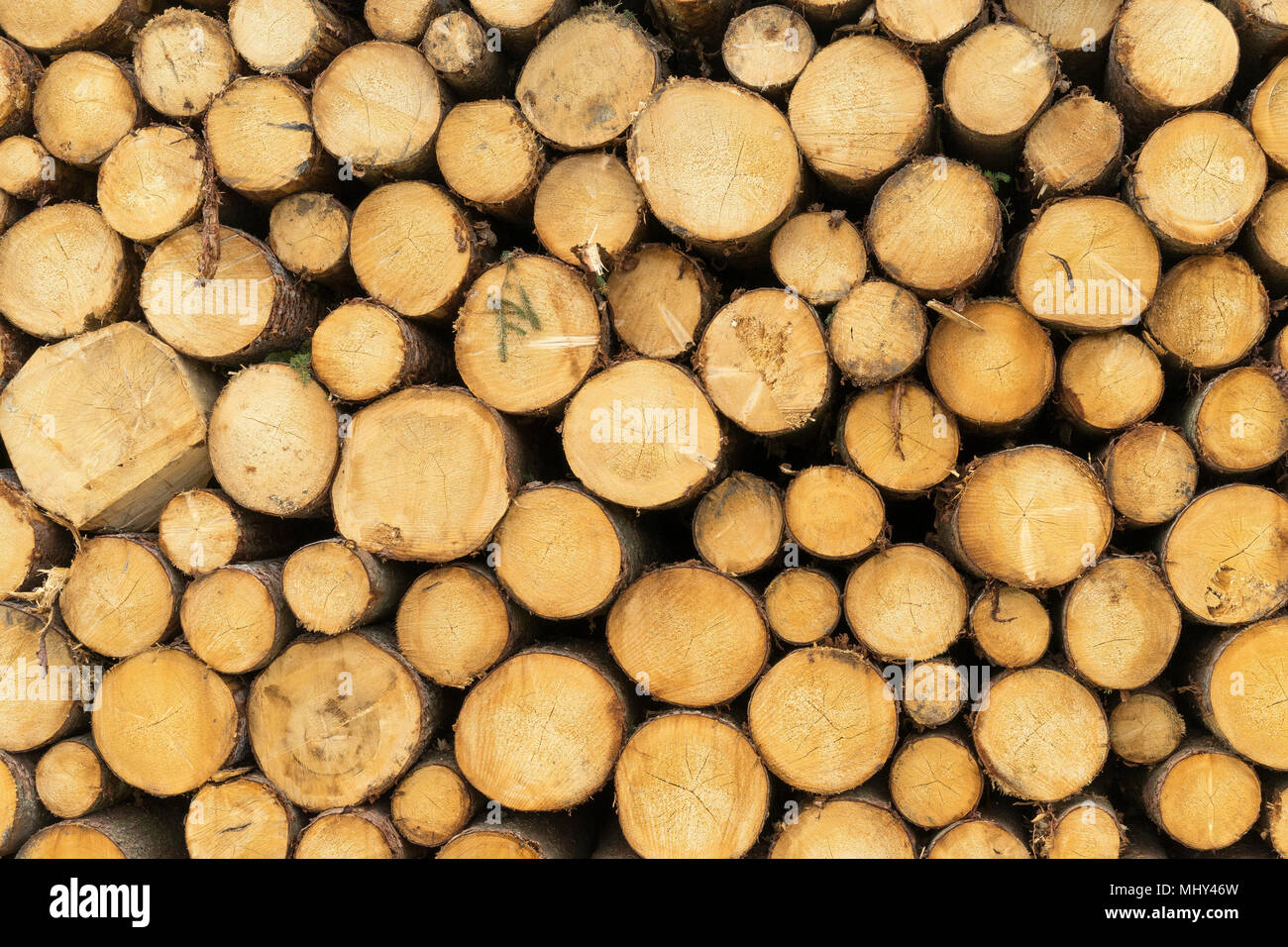 Holz holzern holz hi-res stock photography and images - Alamy