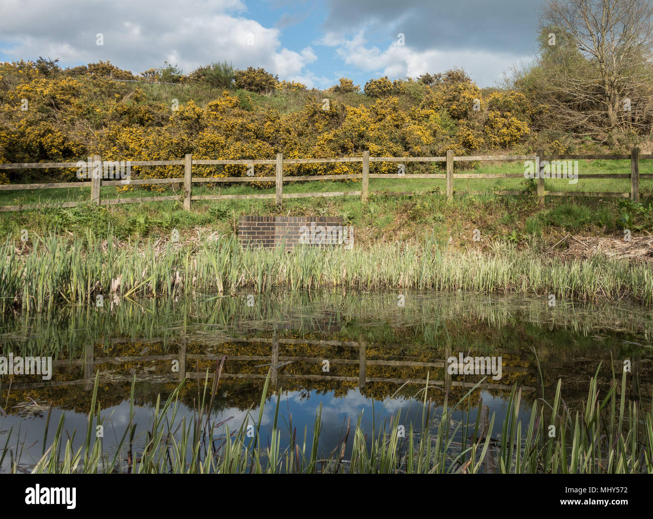 Dangerous entry into the water hi-res stock photography and images - Alamy
