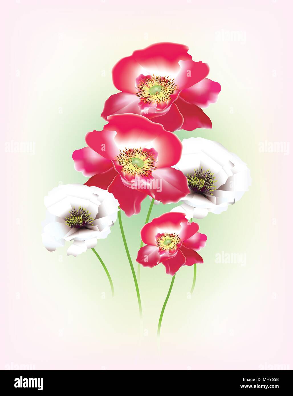 Colorful poppies in a pastel color background Stock Vector Image & Art ...