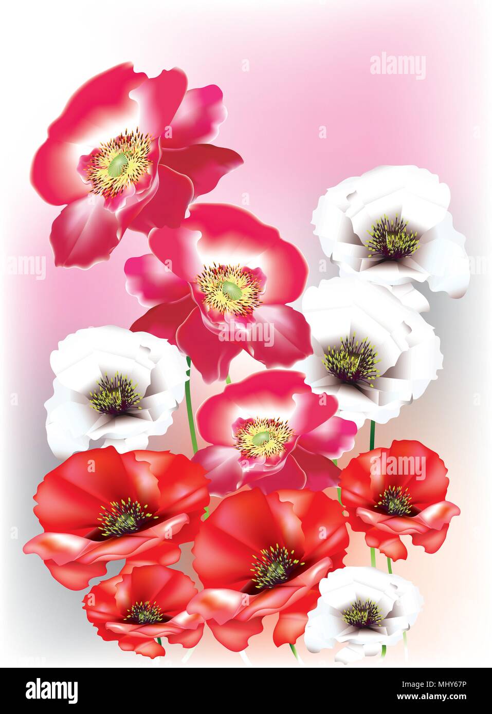Poppies in meadow Stock Vector Images - Alamy