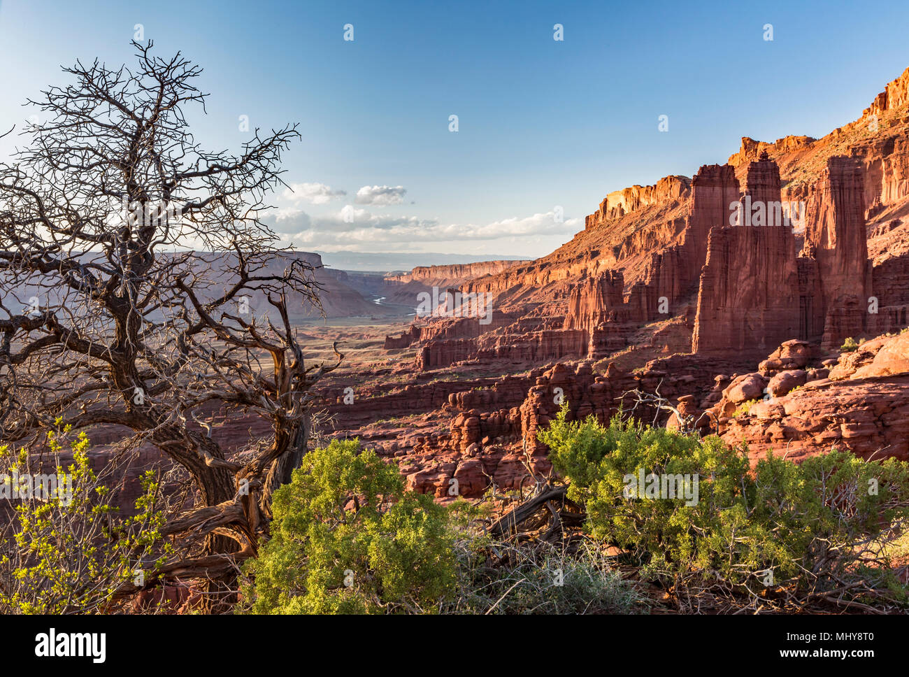 Juniper canyon trail hi-res stock photography and images - Alamy