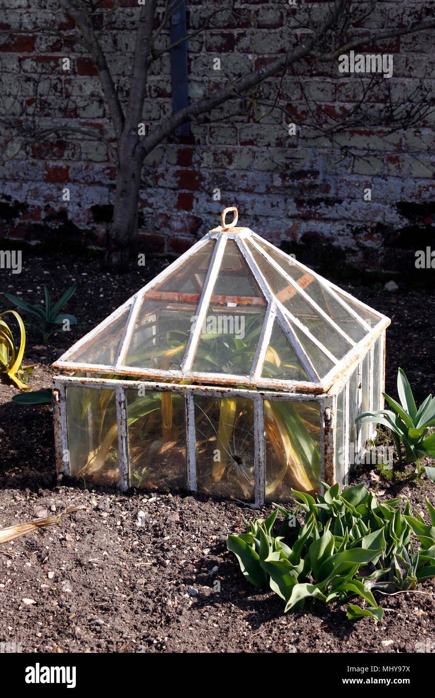 Glass garden cloche hi-res stock photography and images - Alamy