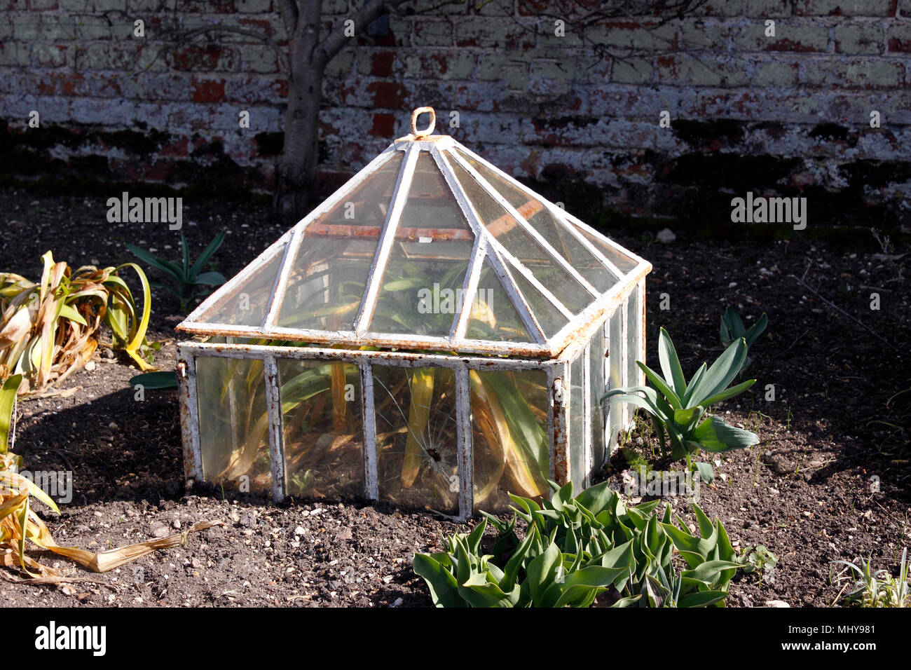Glass garden cloche hi-res stock photography and images - Alamy