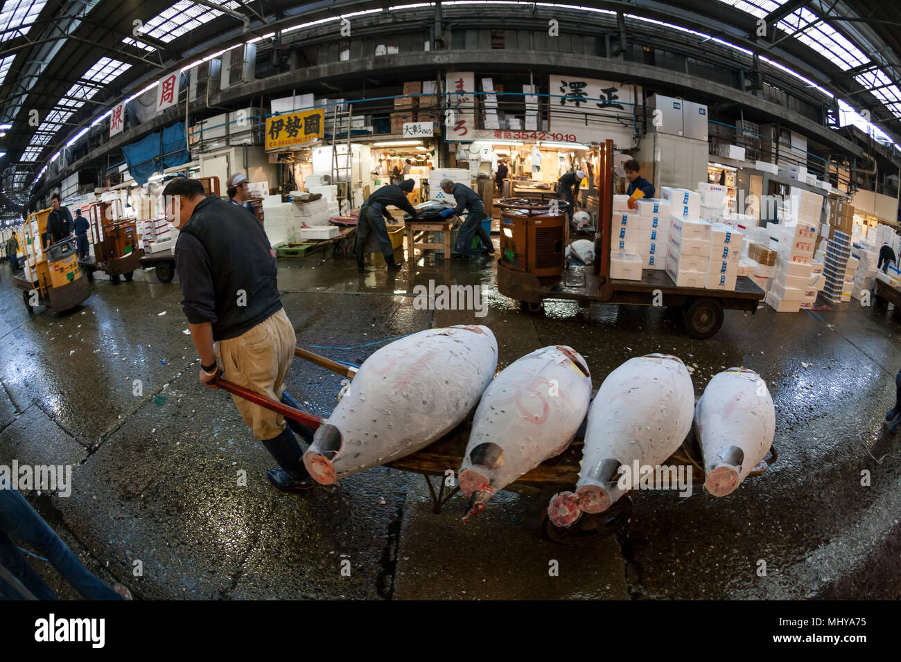 Tsukiji fish market in 2009. Frozen tuna fish on sale at the world's ...