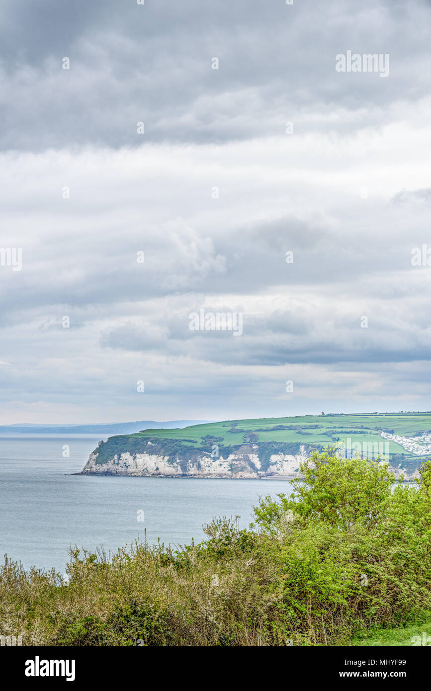 The Haven and Bindon cliff above the seaside town of Seaton, Devon ...