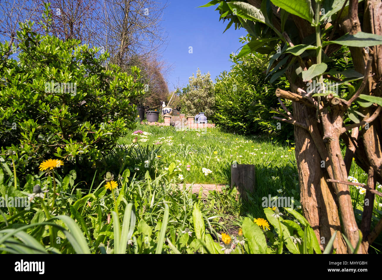 Spring planting scheme hi-res stock photography and images - Alamy