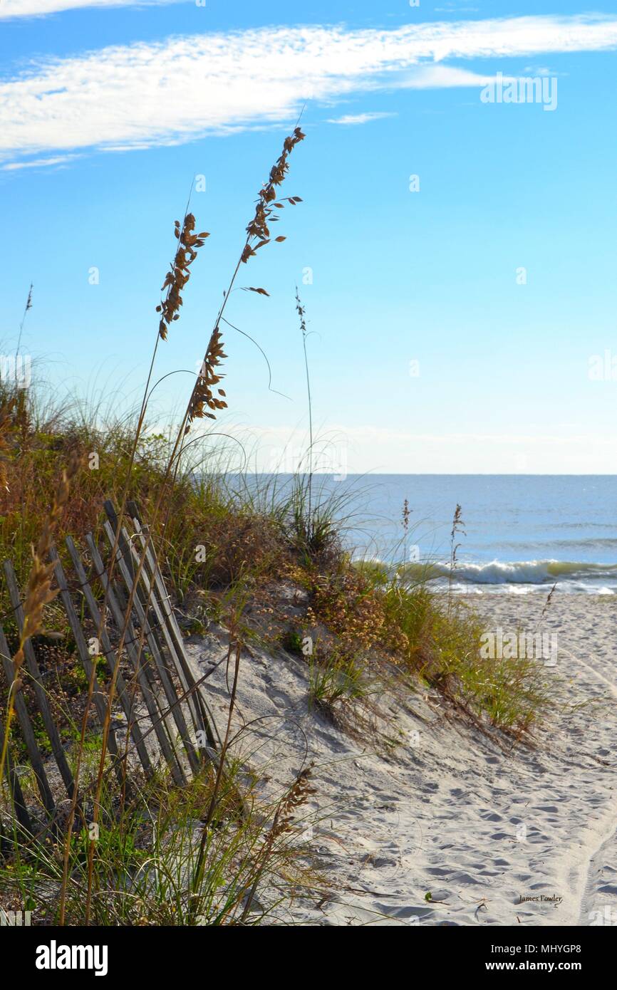Florida beach scene Stock Photo - Alamy