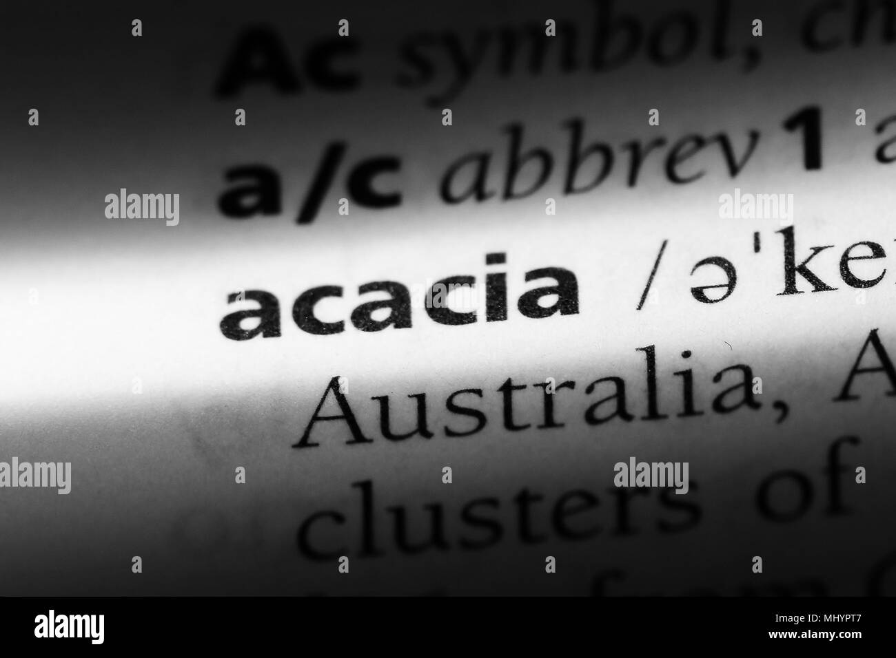 Acacia Black and White Stock Photos & Images - Alamy