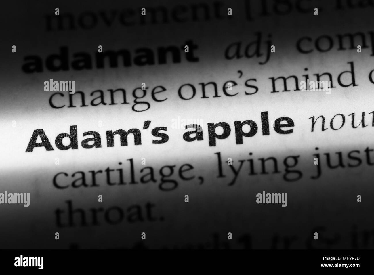 Adams Apple High Resolution Stock Photography and Images - Alamy