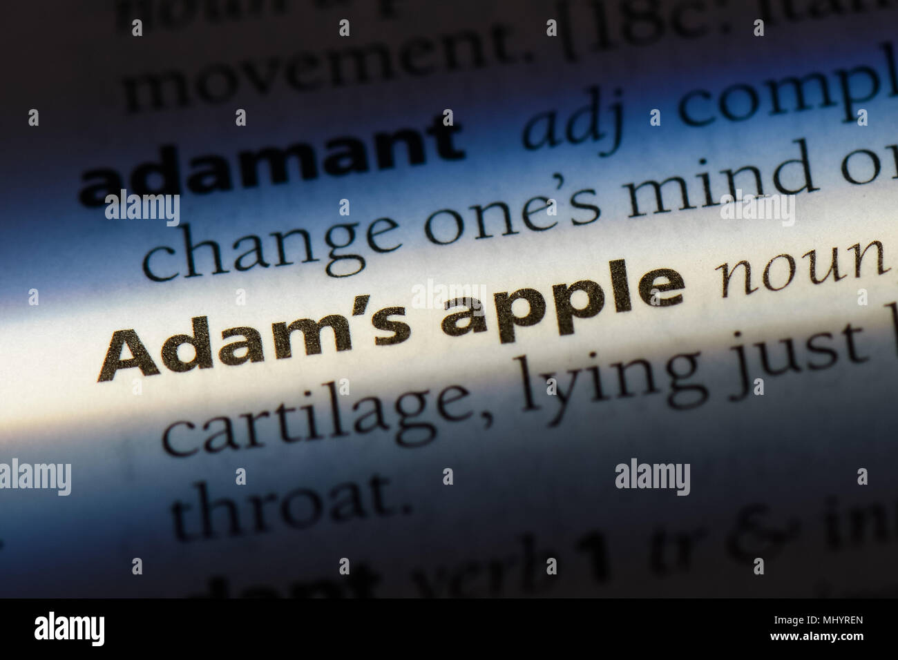 Adams Apple High Resolution Stock Photography and Images - Alamy