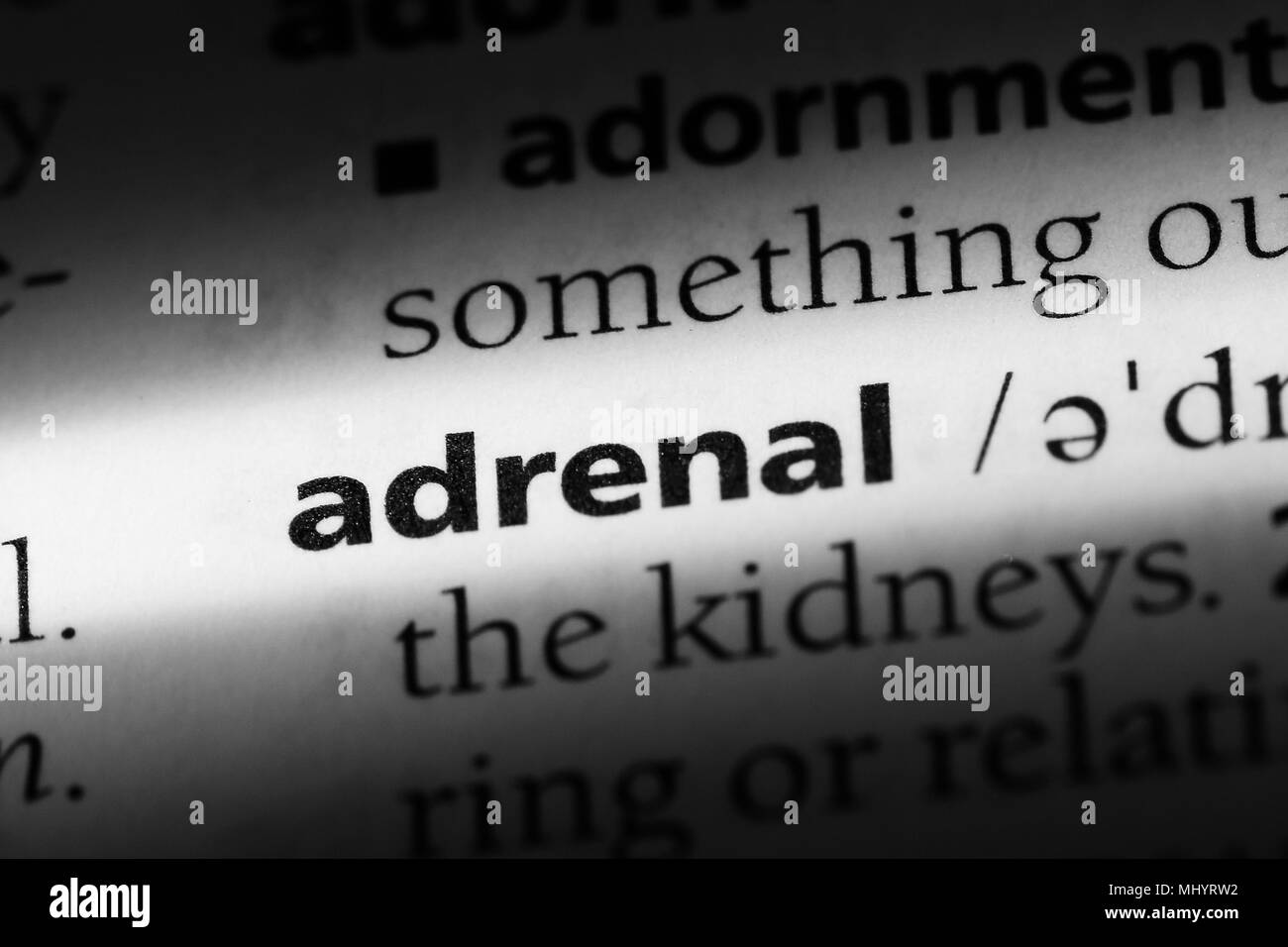 Adrenal Black and White Stock Photos & Images - Alamy