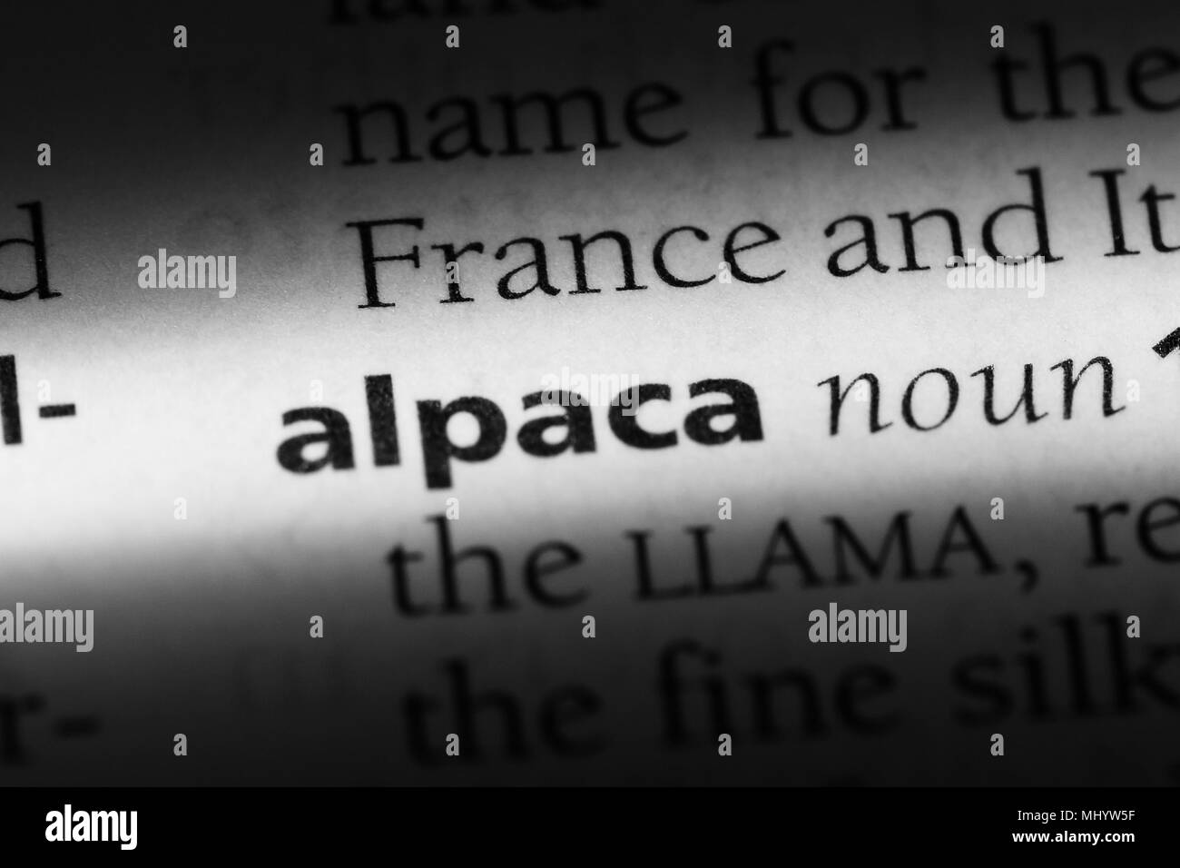 alpaca word in a dictionary. alpaca concept Stock Photo - Alamy