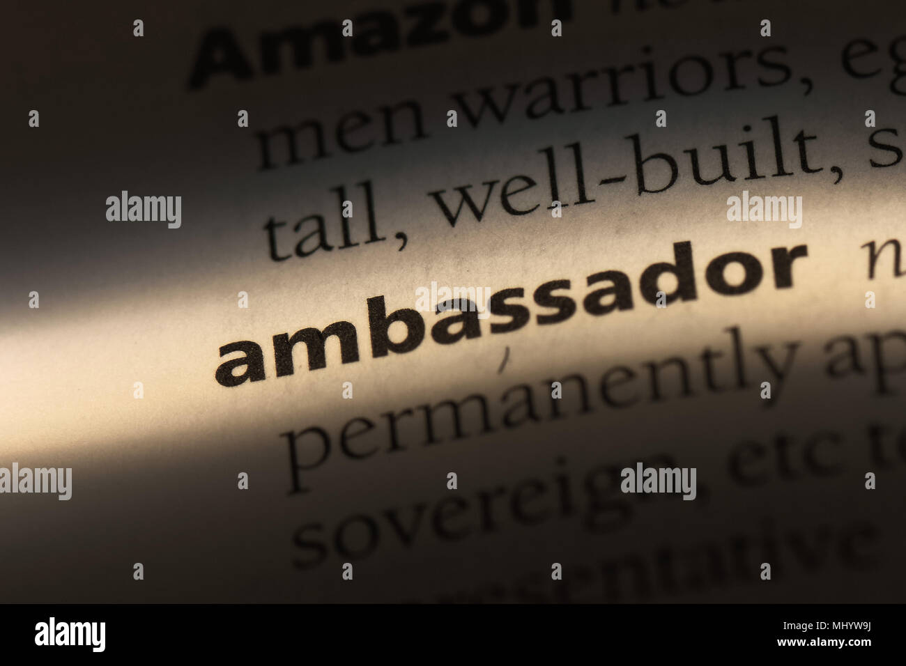 Ambassador concept hi-res stock photography and images - Alamy