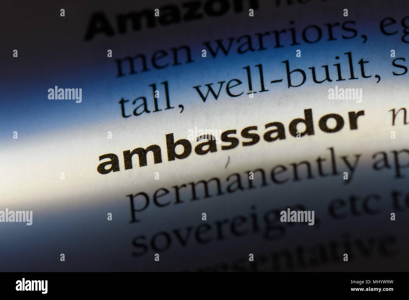 Ambassador concept hi-res stock photography and images - Alamy