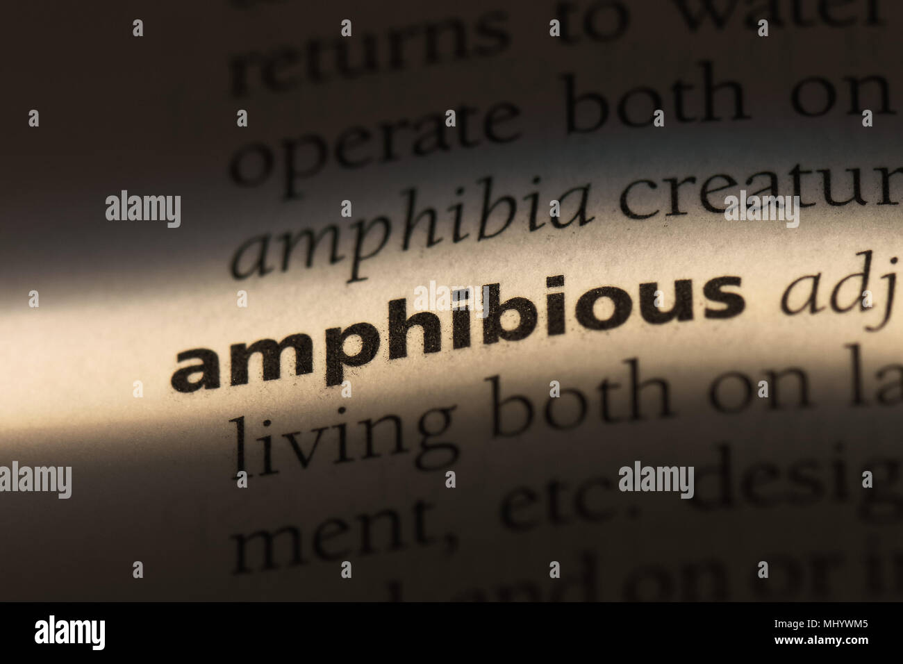 amphibious word in a dictionary. amphibious concept Stock Photo - Alamy