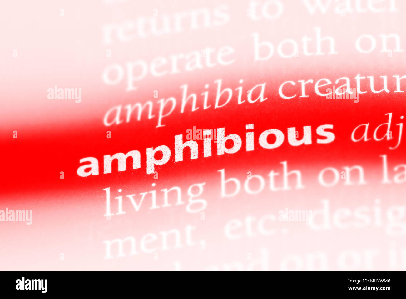 amphibious word in a dictionary. amphibious concept Stock Photo - Alamy