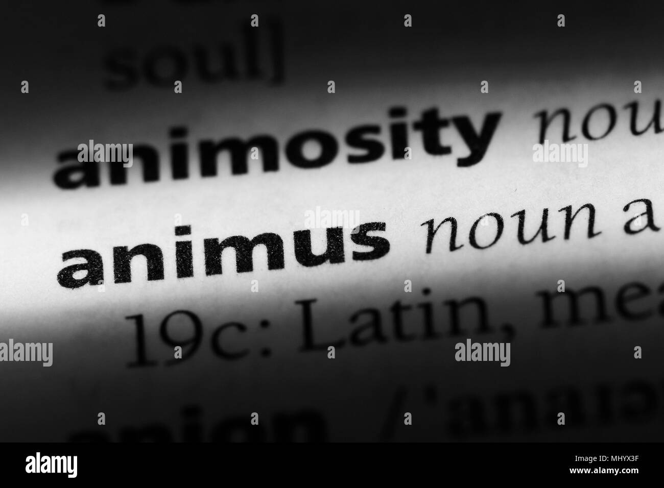 Animus hi-res stock photography and images - Alamy