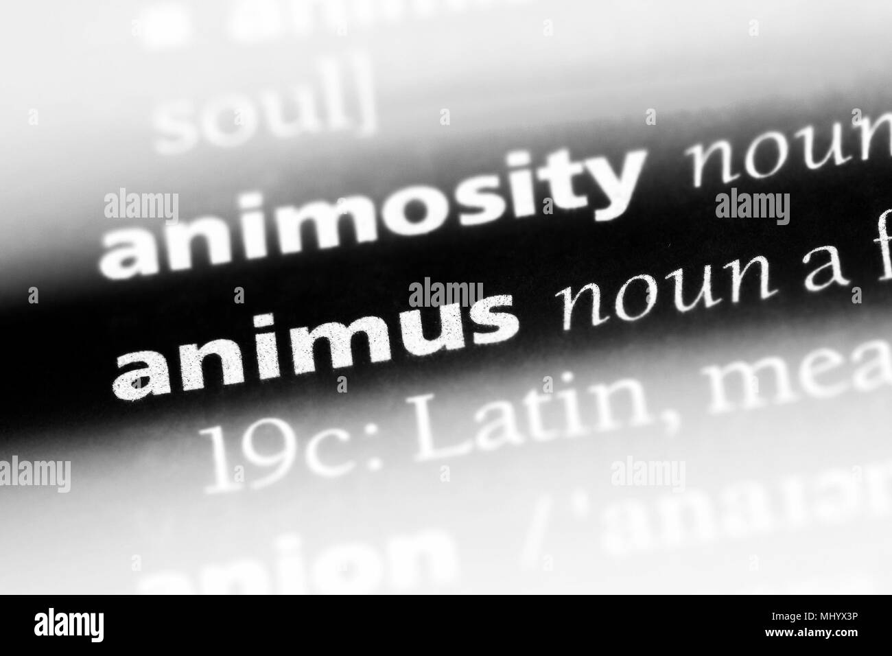 Animus hi-res stock photography and images - Alamy