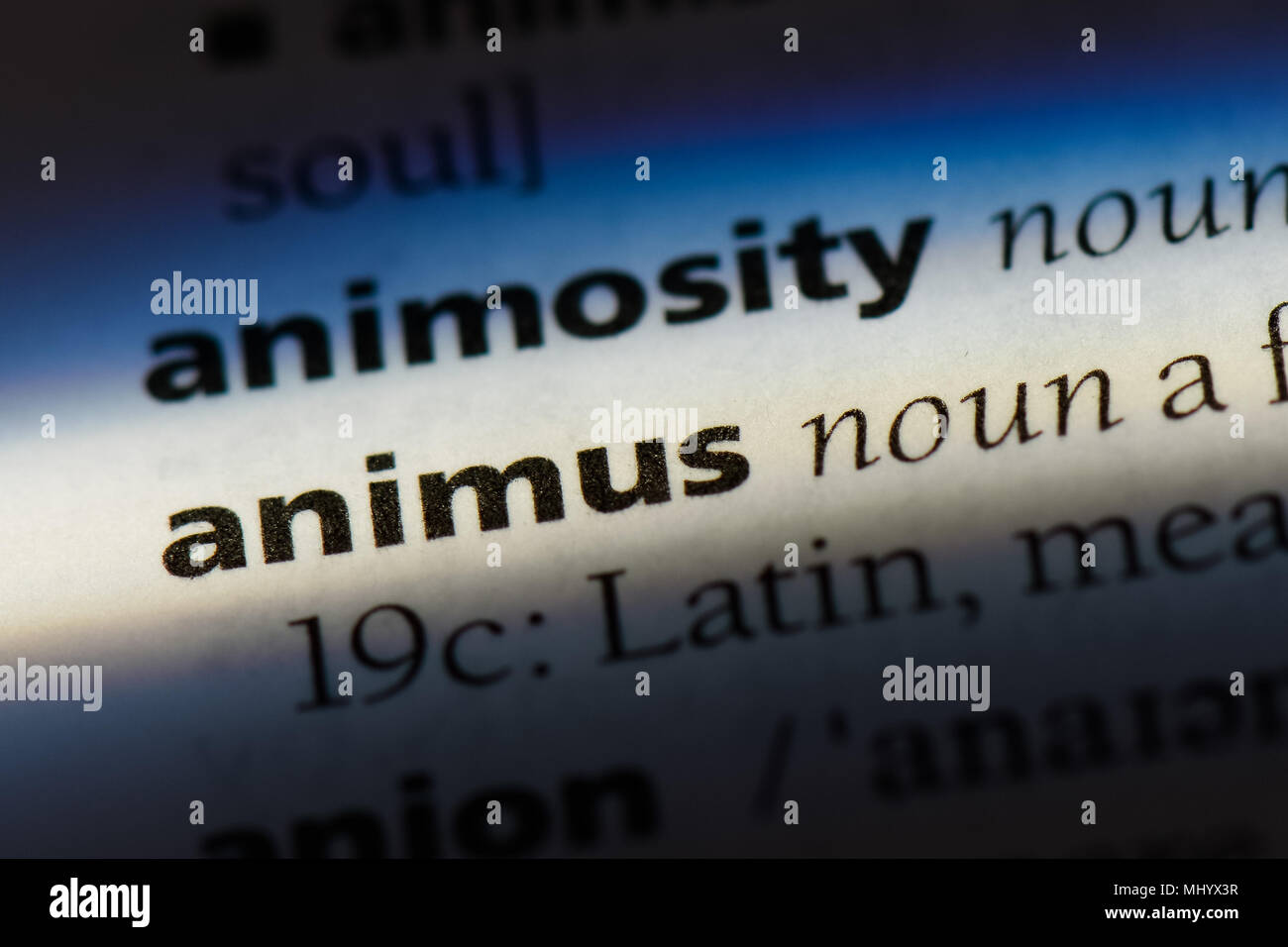 animus word in a dictionary. animus concept Stock Photo - Alamy