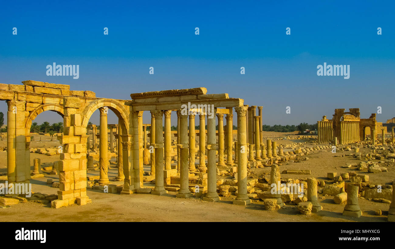 Panorama of Palmyra columns and ancient city, destroyed by ISIS, Syria ...