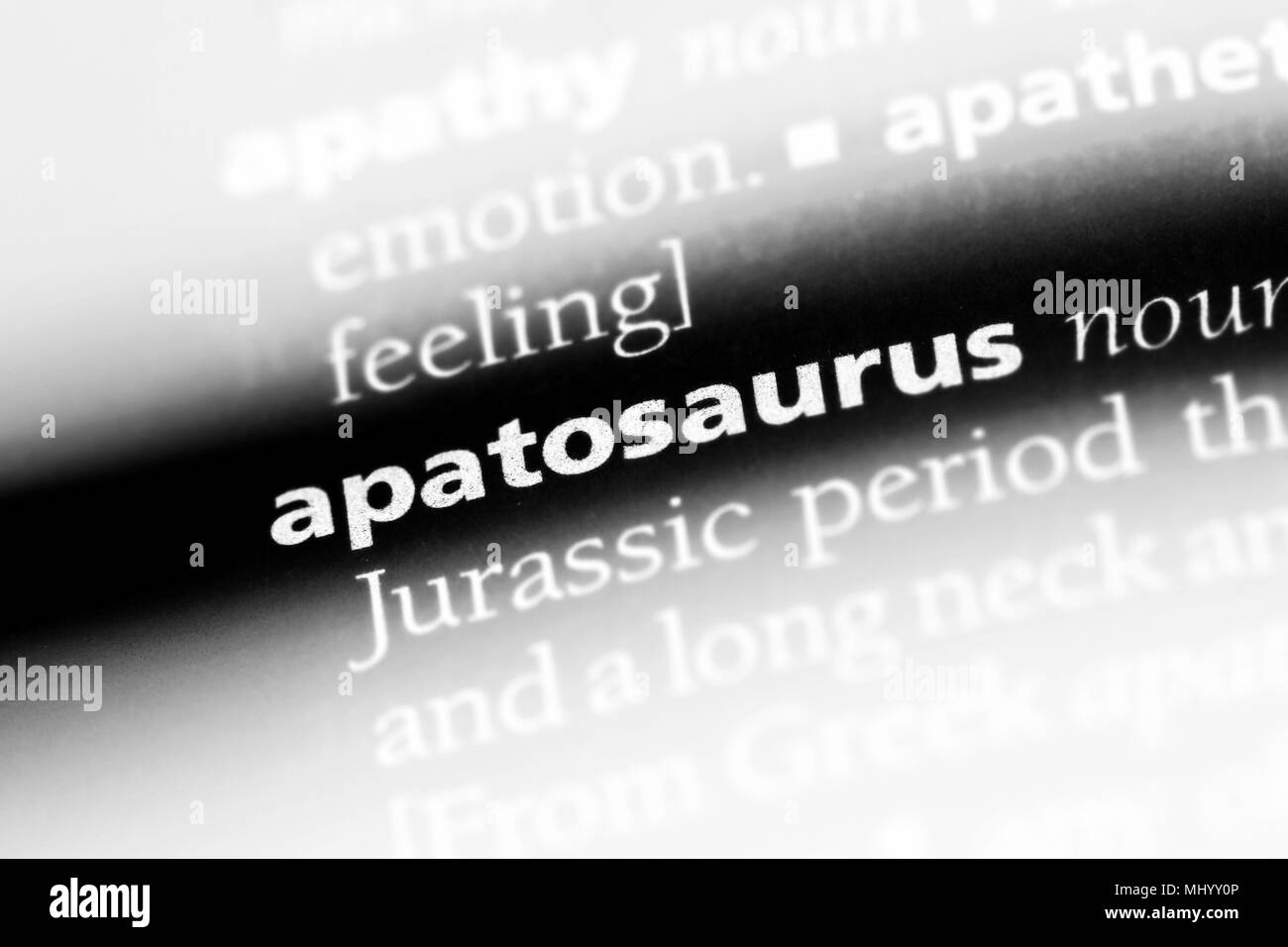 apatosaurus word in a dictionary. apatosaurus concept Stock Photo - Alamy