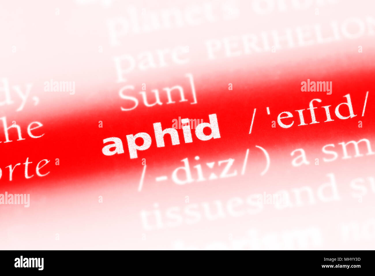 aphid word in a dictionary. aphid concept Stock Photo - Alamy